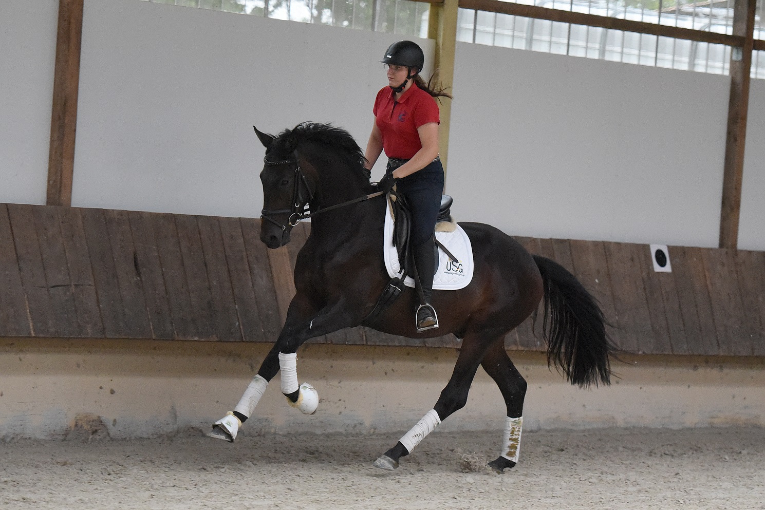 Deckstation / Hengste - Pferdepraxis Boyenstein